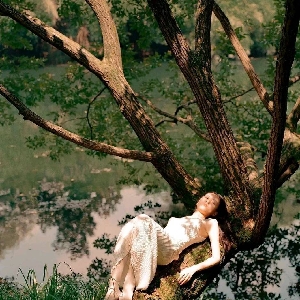 兢兢业业流浪的冒险家 