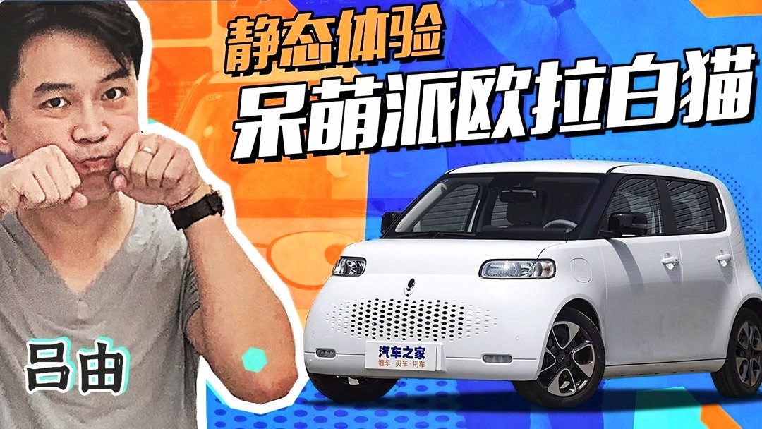 造型萌宠可人 静态体验欧拉白猫
