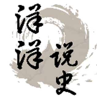 洋洋说史