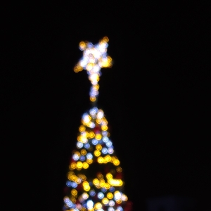 软软糯糯一颗星 