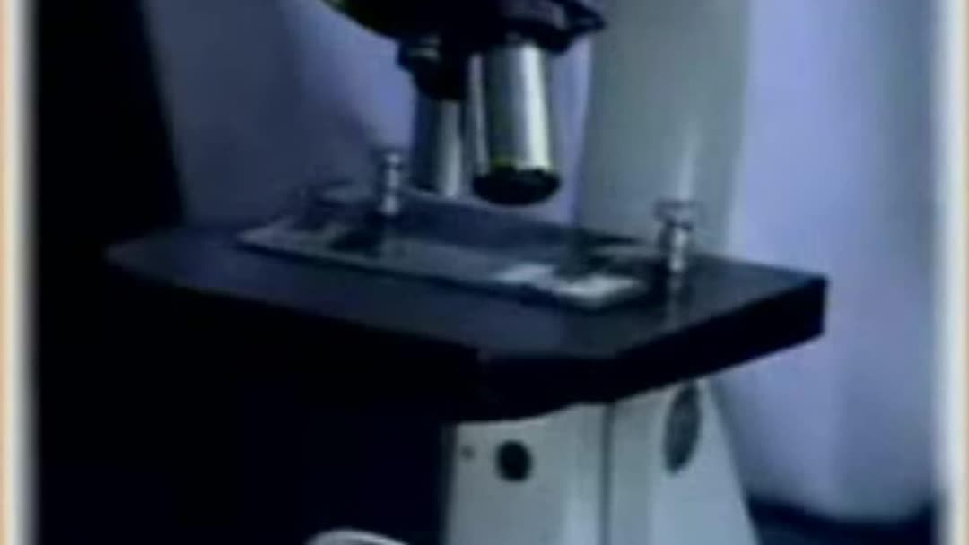 显微镜 显微镜使用方法 多屏视摘