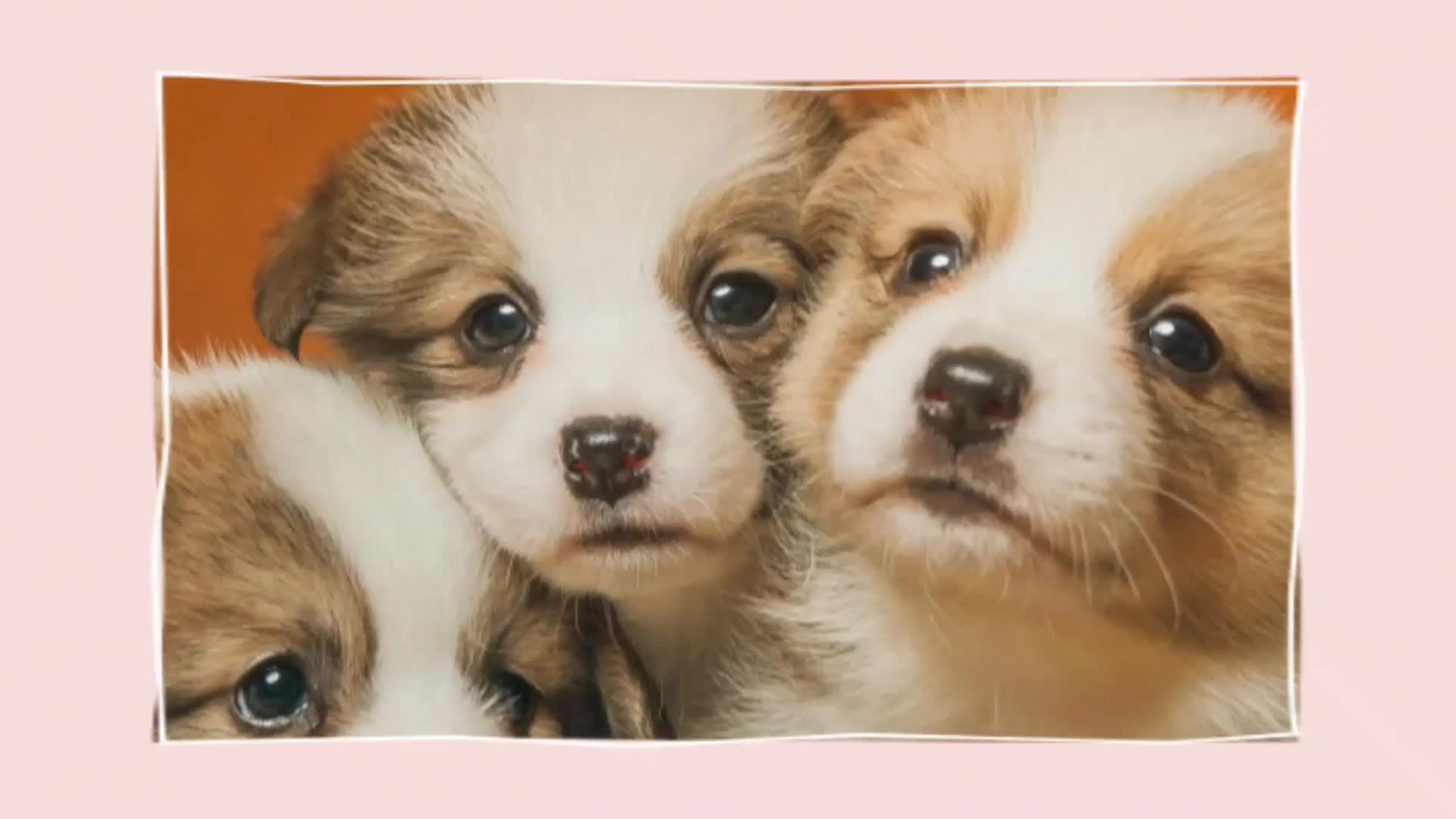 盘点那些趣图表情包:你和对象的谈话记录!