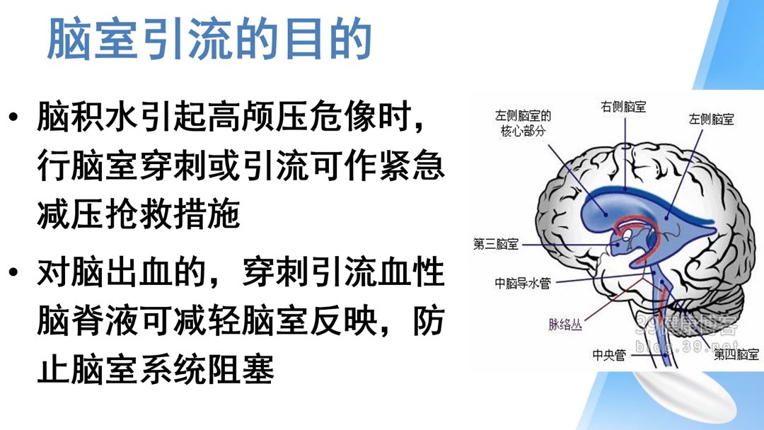脑室引流管的护理PPT