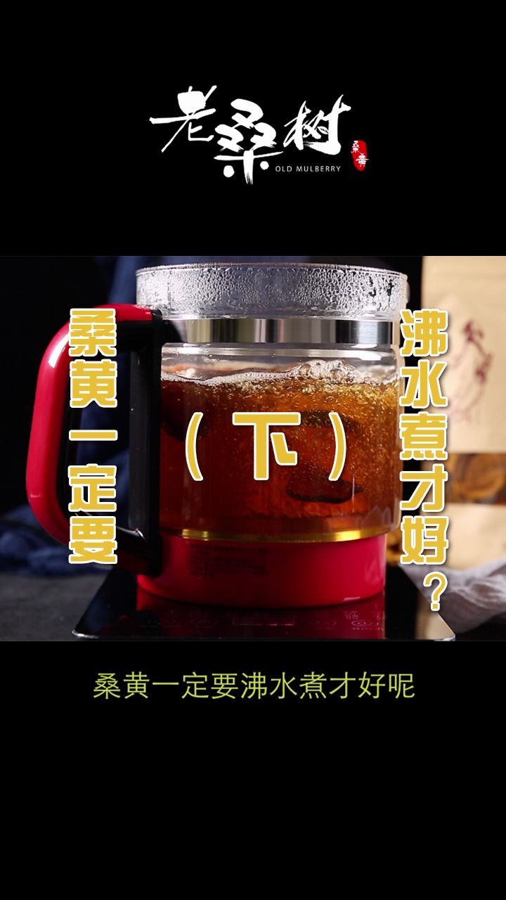 老桑树桑黄课堂之桑黄的详细吃法