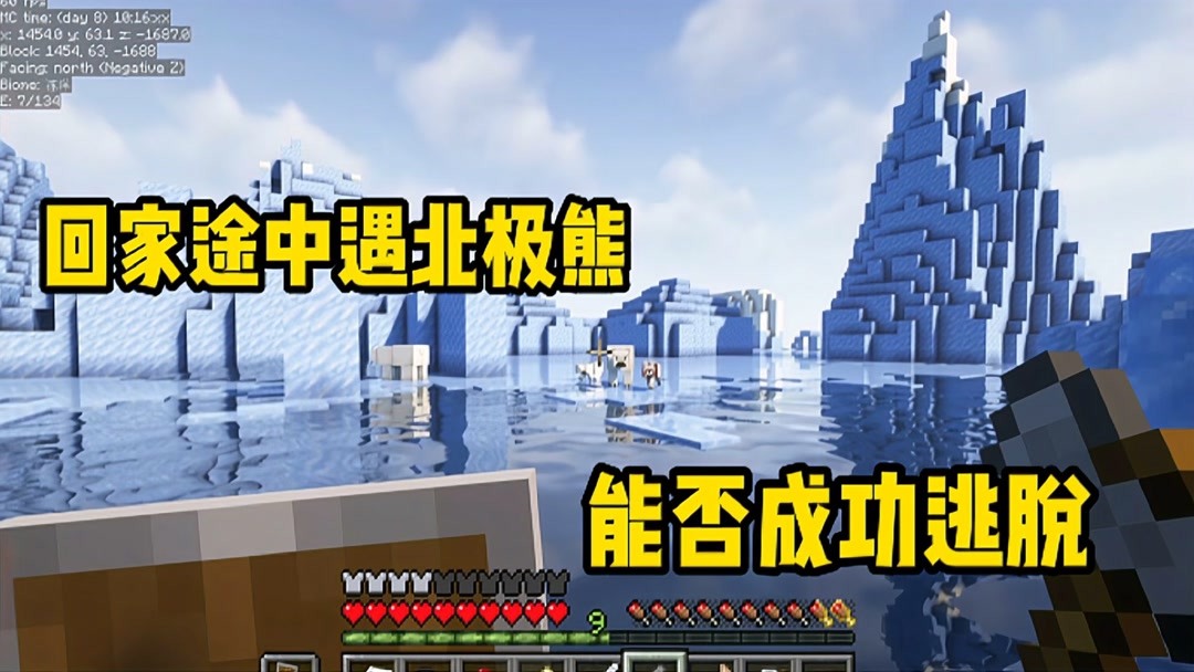 我的世界1.19纯净生存4:回家途中遇北极熊,是否成功逃脱?