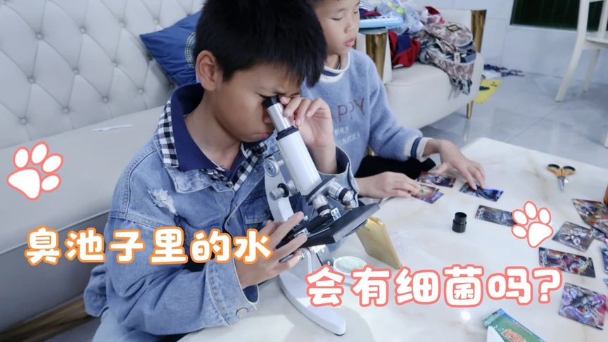 用显微镜看细菌,兄弟俩去臭水池和菜地里找样本,真看到了生物