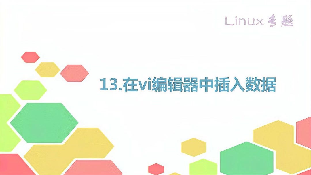13.在vi编辑器中插入数据