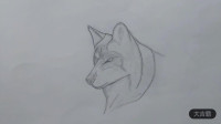 手绘素描:铅笔简单绘草图-狼