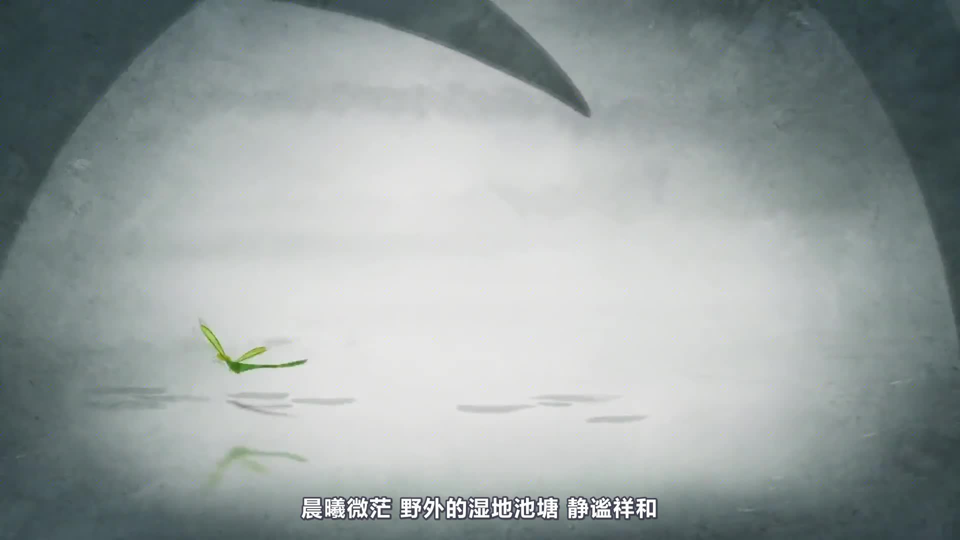 引人深思的动画短片,鹳鸟和锦鲤的故事,你想到了什么