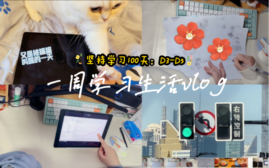 学习日常vlog/想学习不在乎什么时间/工作党一周学习实录/挤出时间...
