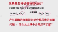 高二 生物 课时19 王统 土壤中分解尿素的细菌的分离和计数(第一节)