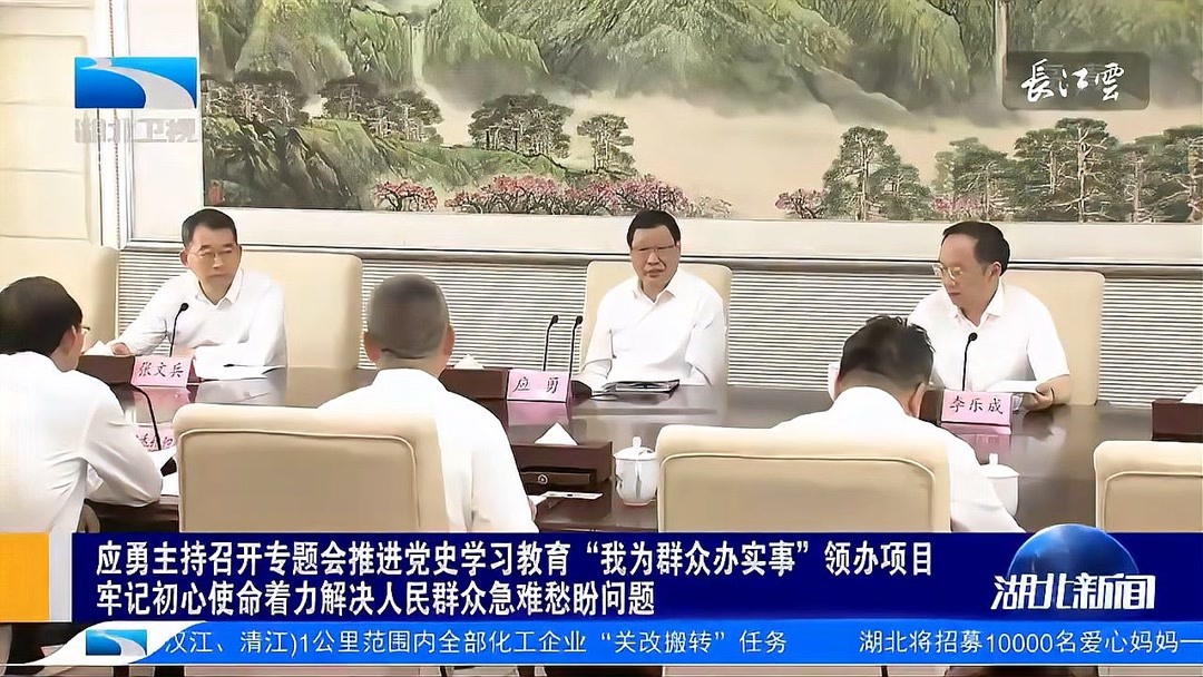 应勇主持召开专题会推进党史学习教育“我为群众办实事”领办项目