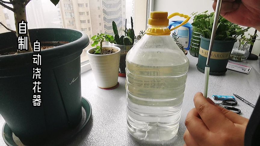国庆节旅游担心家里的花草没人浇水,教你自制自动浇水器
