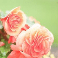 卢朝阳聊纪录片 