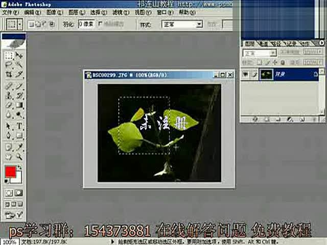 Photoshop从头学起第05集ps平面设计教程 ps入门教程 ps系列教程