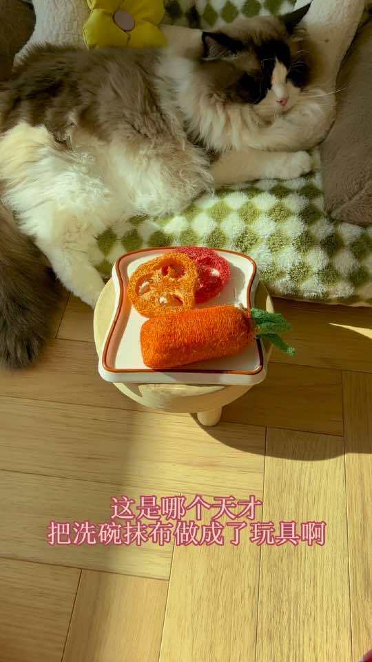 ...抓吧,玩吧放心了#萌宠好物 #宠物用品推荐 #小黄车直接购买 #逗猫神...