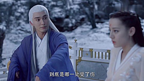 三生三世枕上书:帝君受伤求关心,被小九嫌弃