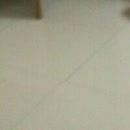 爱骑自行车de胡母婷美 