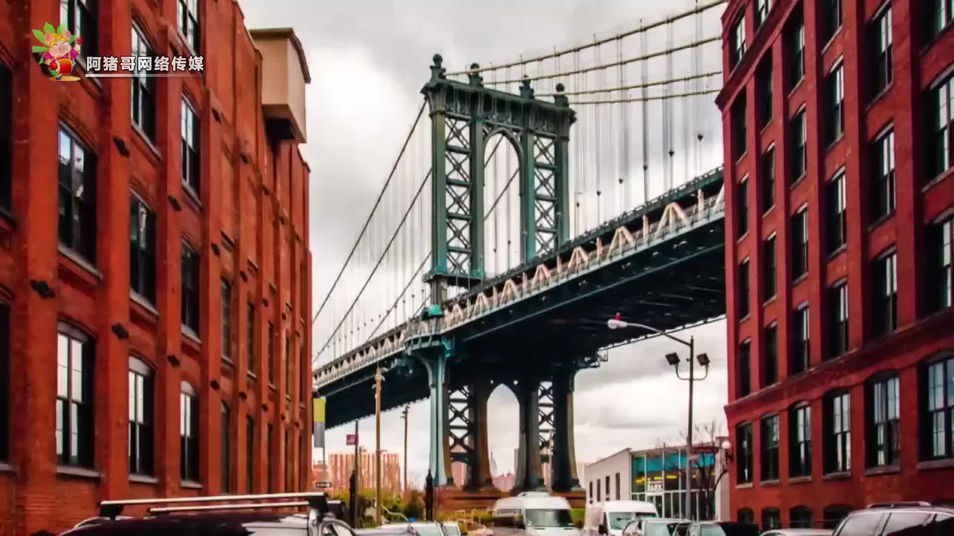 阿猪哥:高端商业广告企业宣传片