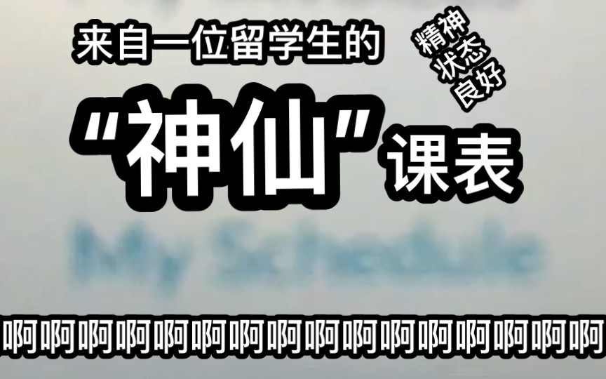 欢迎大家体验我的“神仙”课表!啊哈哈哈!我太高兴啦!