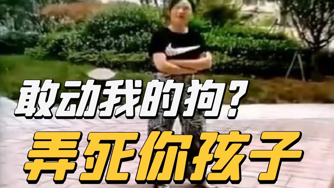 蚌埠“最牛狗主人”:敢动我狗我弄死你娃,我有的是钱赔得起!