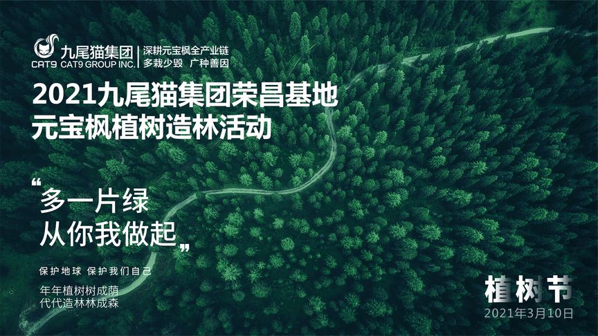 2021年元宝枫植树造林活动精彩内容回顾