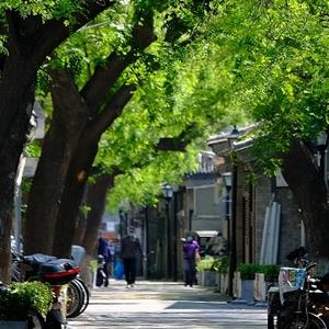 犄角旮旯话北京 