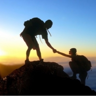 天津市世平科技 