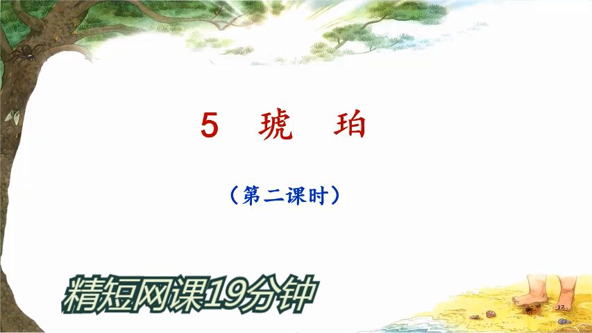 19分钟精短网课:《琥珀》第二课时,部编小学语文四年级下册