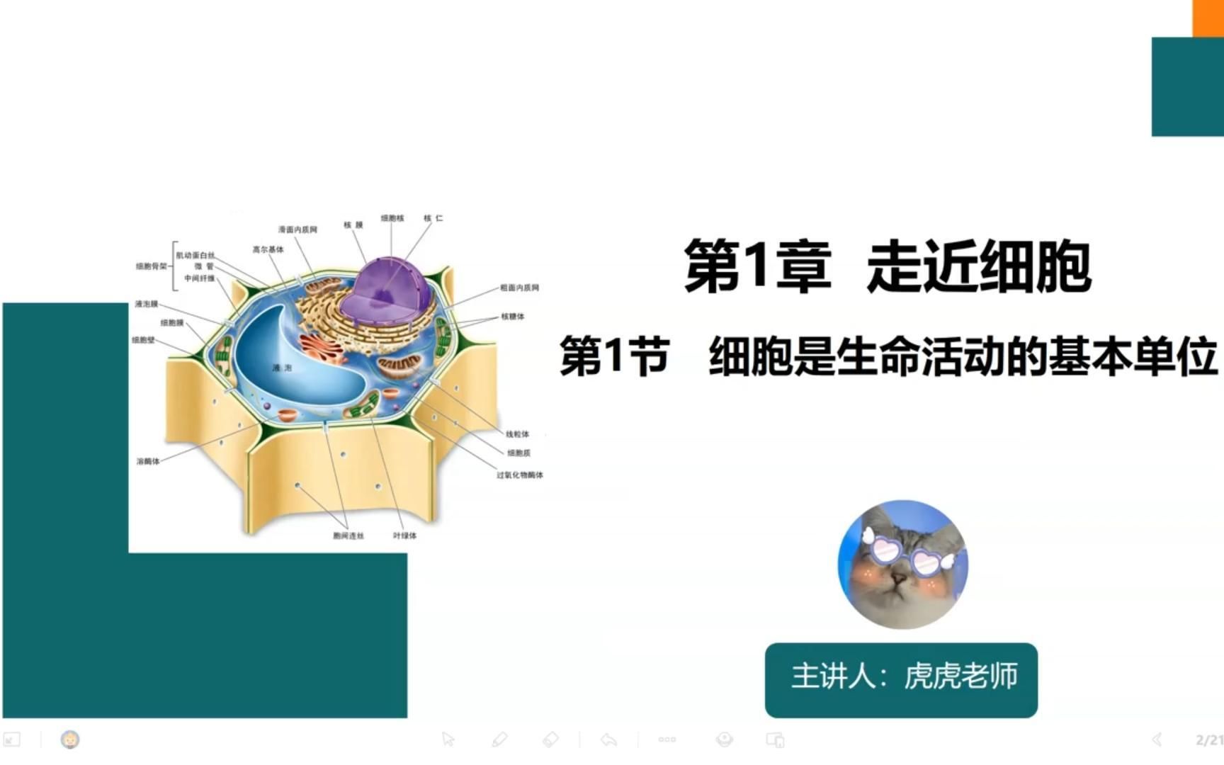 新高一必看!生物同步1-1 细胞是生命活动的基本单位