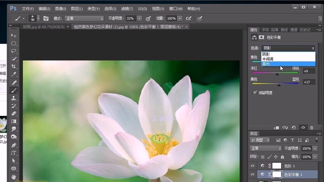ps自学教程 ps免费视频课程 小悦PS梦幻荷花制作