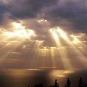 奋发有为百灵鸟1YA 