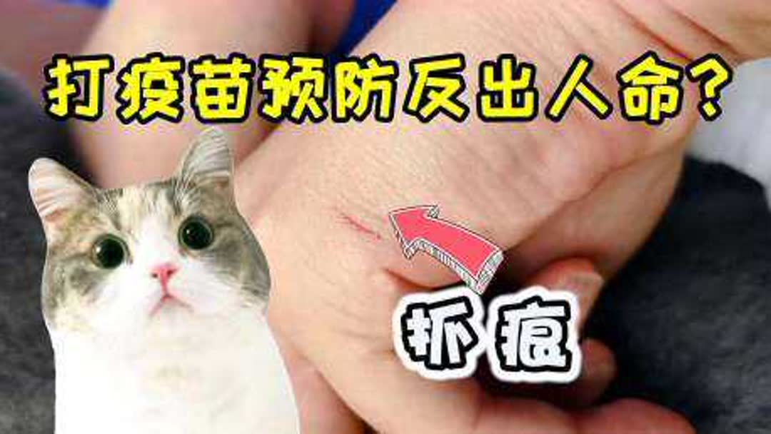 男子注射狂犬疫苗3天后死亡,打疫苗预防反而打出人命?