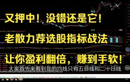 又押中!没错还是它!老散力荐选股指标战法,让你盈利翻倍,赚到手软!