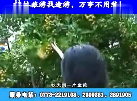 桂林视频 桂林山水 旅游宣传片 阳朔旅游 遇龙河竹筏漂流