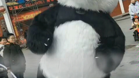 暖场网红春晚版充气大熊猫