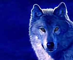 军越数学研究室 