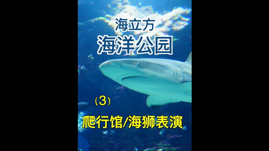 在吉林市看海狮表演,玩转爬行动物馆,你来吗?
