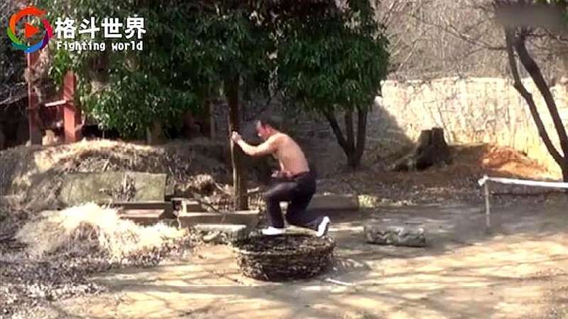 自然门基本功走簸箕,本以为是传说,原来真有这样的高人