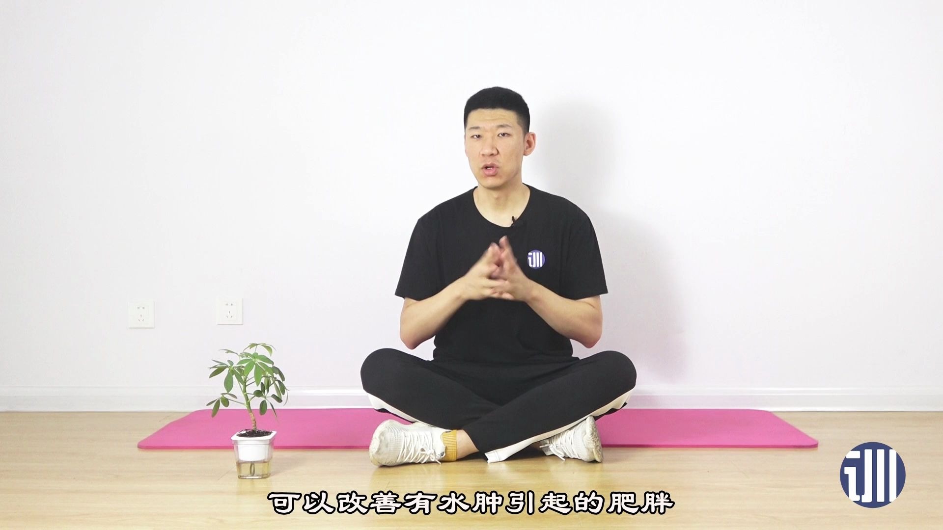 经络不通人发胖,每天拍打100下,刮油减肚子,肚子小了人也瘦了!