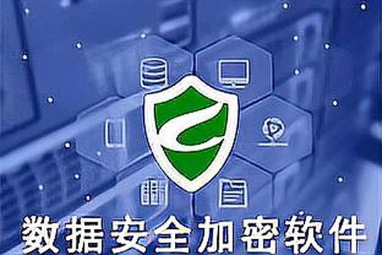 传统信息安全仍有漏洞,如何寻求专业数据安全解决方案?