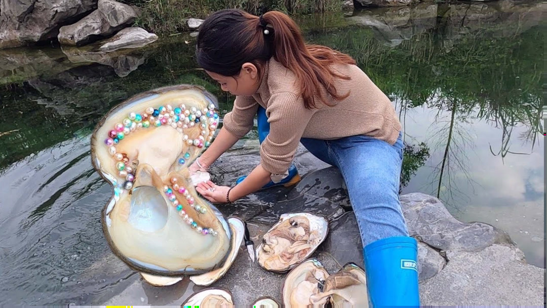 河蚌里的珍珠,是怎么来的?一分钟告诉你答案