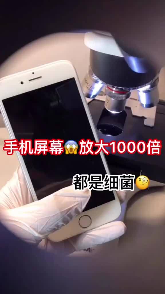 显微镜放大手机屏我的天都是细菌
