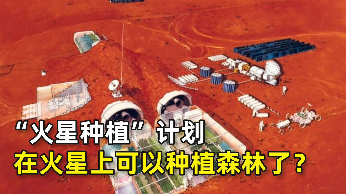 "火星种植"计划,在火星上可以种植森林了?