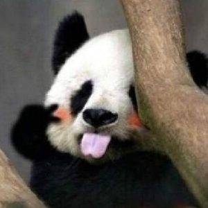 方见秋 