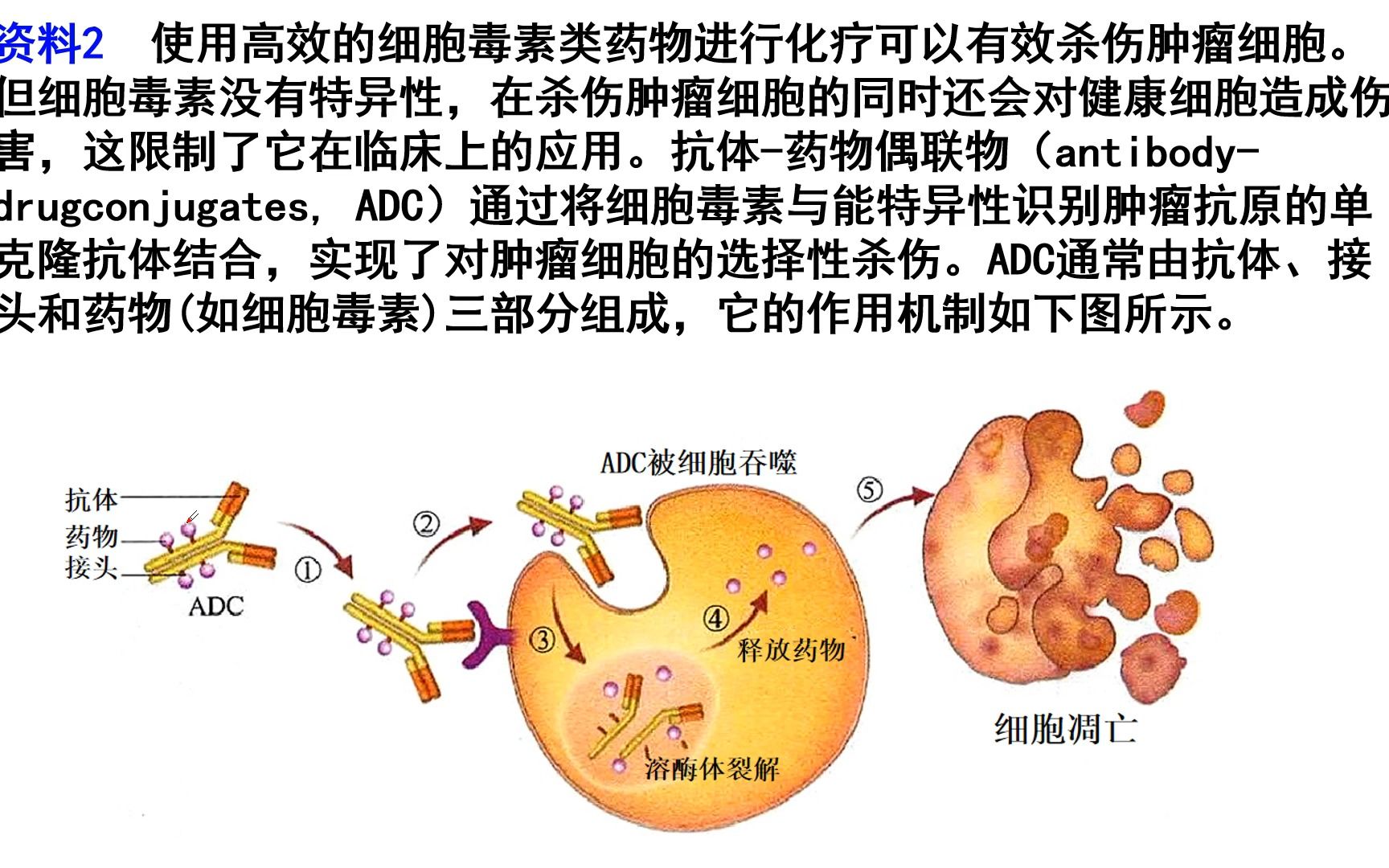 细胞融合技术与单克隆抗体(小本)