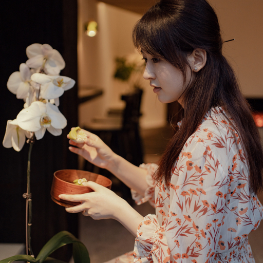 夏的菓子 
