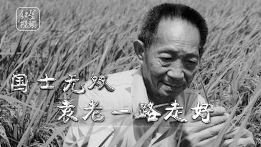 国士无双! 120秒回顾“杂交水稻之父”袁隆平生平