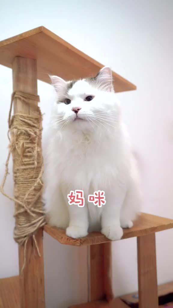 听说听完这首热爱105度的你会爱上喝水哦