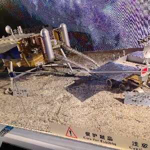 一往无前老韭菜 